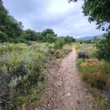 Barbara's Lake Loop Trail, California - 892 Reviews, Map | AllTrails