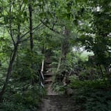 Longwoods Road Conservation Area, Ontario, Canada - 311 Reviews, Map ...