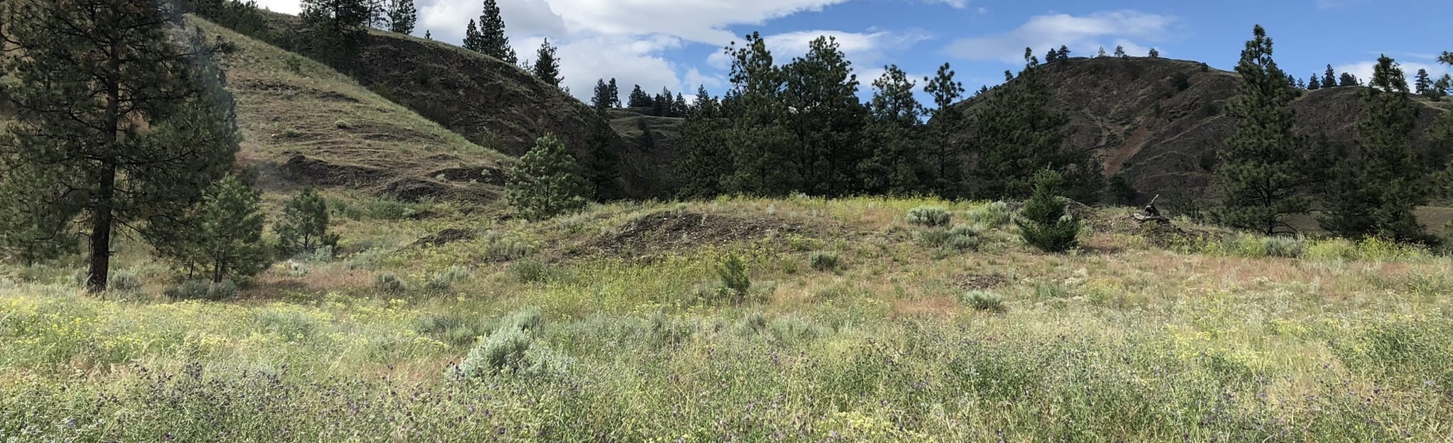 Shaka Hills Loop, British Columbia, Canada - 6 Reviews, Map | AllTrails