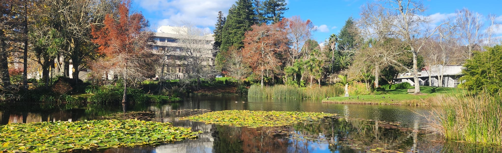 University of Waikato Grounds Loop: 13 Reviews, Map - Waikato, New ...