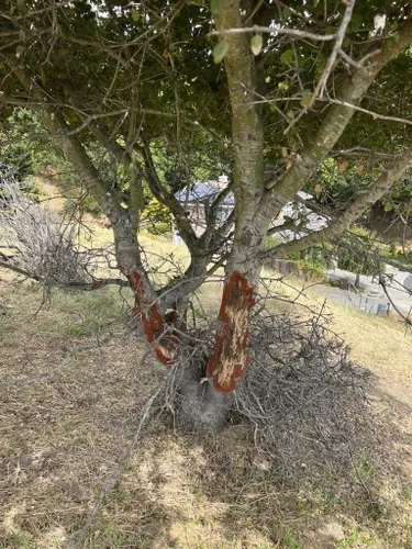 Best Hikes and Trails in Don Castro Regional Recreation Area | AllTrails