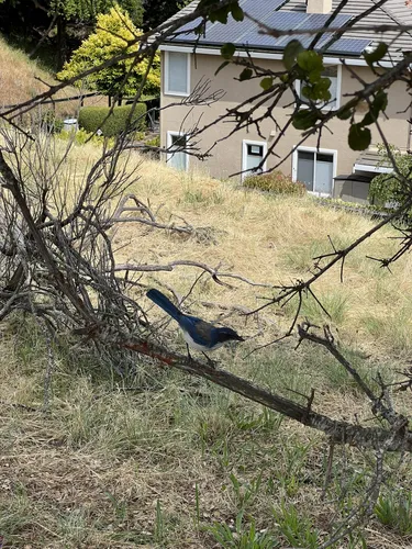 Best Hikes and Trails in Don Castro Regional Recreation Area | AllTrails