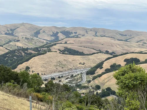 Best Hikes and Trails in Don Castro Regional Recreation Area | AllTrails