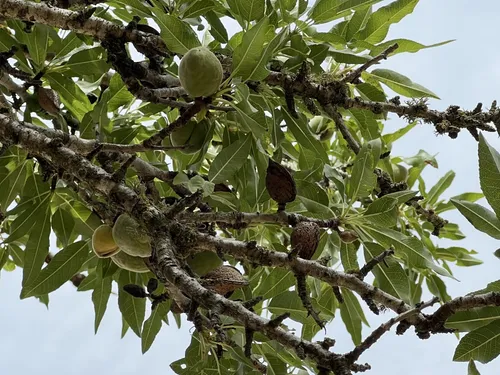 Best Hikes and Trails in Don Castro Regional Recreation Area | AllTrails