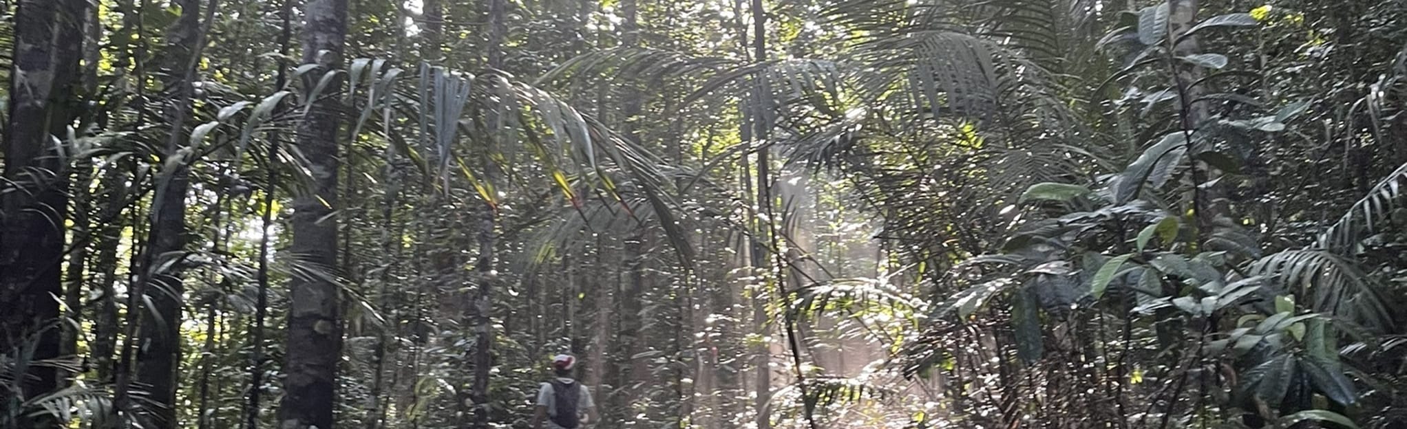 Gunung Muntahak, Johor, Malaysia - Map, Guide | AllTrails