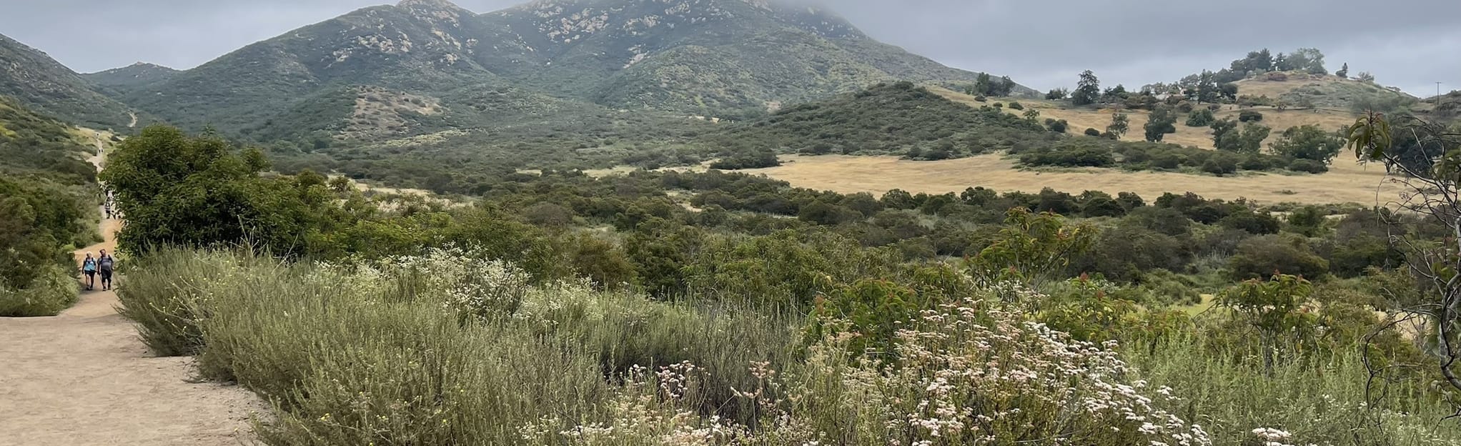 Wild Horse Trail Loop, California - 365 Reviews, Map | AllTrails