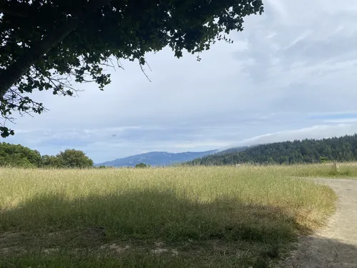 10 Best Hikes and Trails in Wunderlich County Park | AllTrails