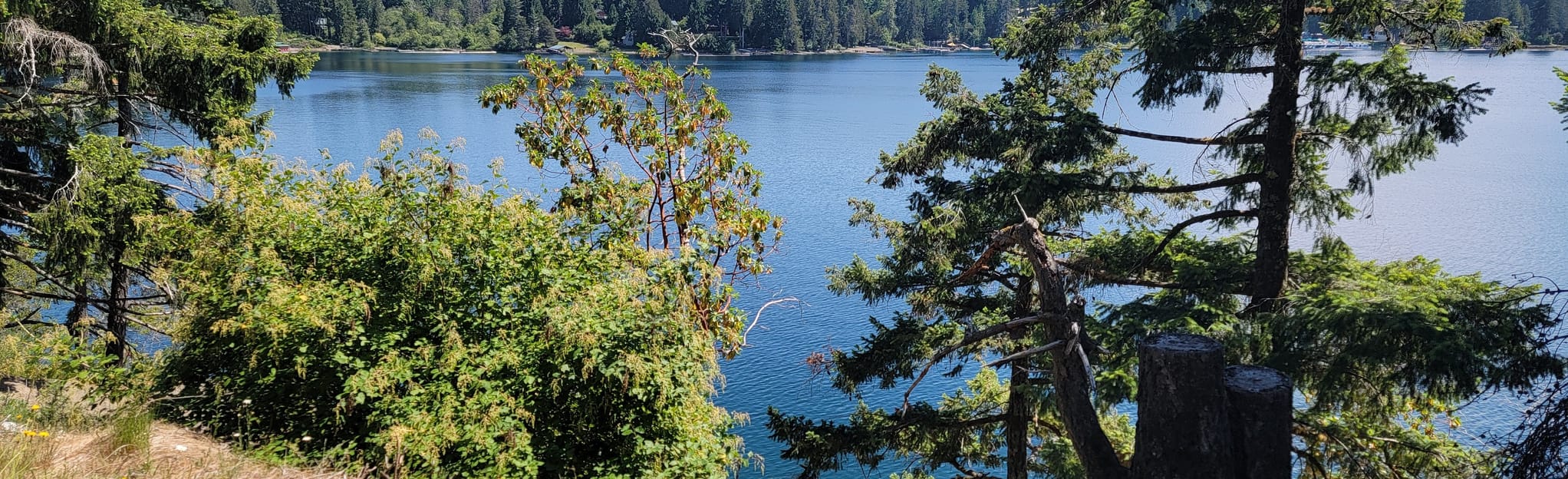 Sproat Lake Provincial Park Trail: 56 foto's - Brits-Columbia, Canada ...
