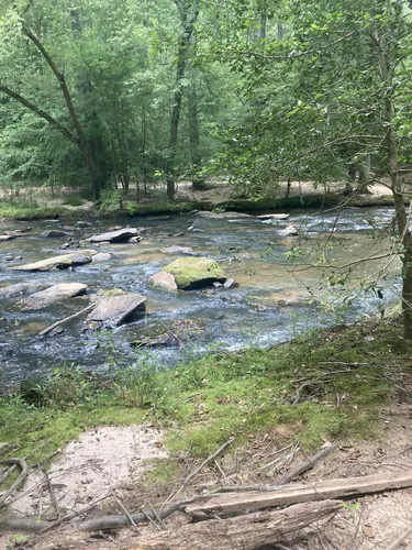 2023 Best Wild Flowers Trails in Pauline | AllTrails