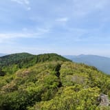 Mount Cammerer via Appalachian Trail, Tennessee - 246 Reviews, Map ...