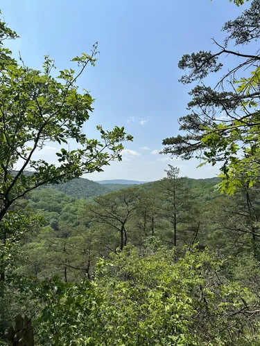 Best Hikes and Trails in Green Ridge State Forest | AllTrails