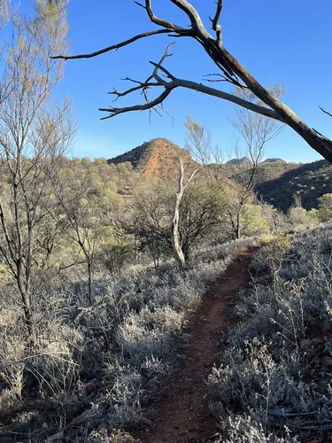 Best Hikes and Trails in Vulkathunha-Gammon Ranges National Park ...