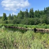Lost '40' Trail, Minnesota - 176 Reviews, Map | AllTrails