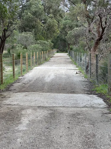 Best Hikes and Trails in Star Swamp Bushland Reserve | AllTrails