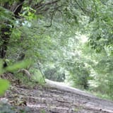 Ruby Jack Trail, Missouri - 211 Reviews, Map | AllTrails