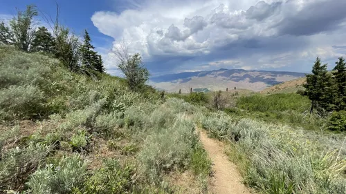 2023 Best 10 Trails and Hikes in Wenatchee | AllTrails