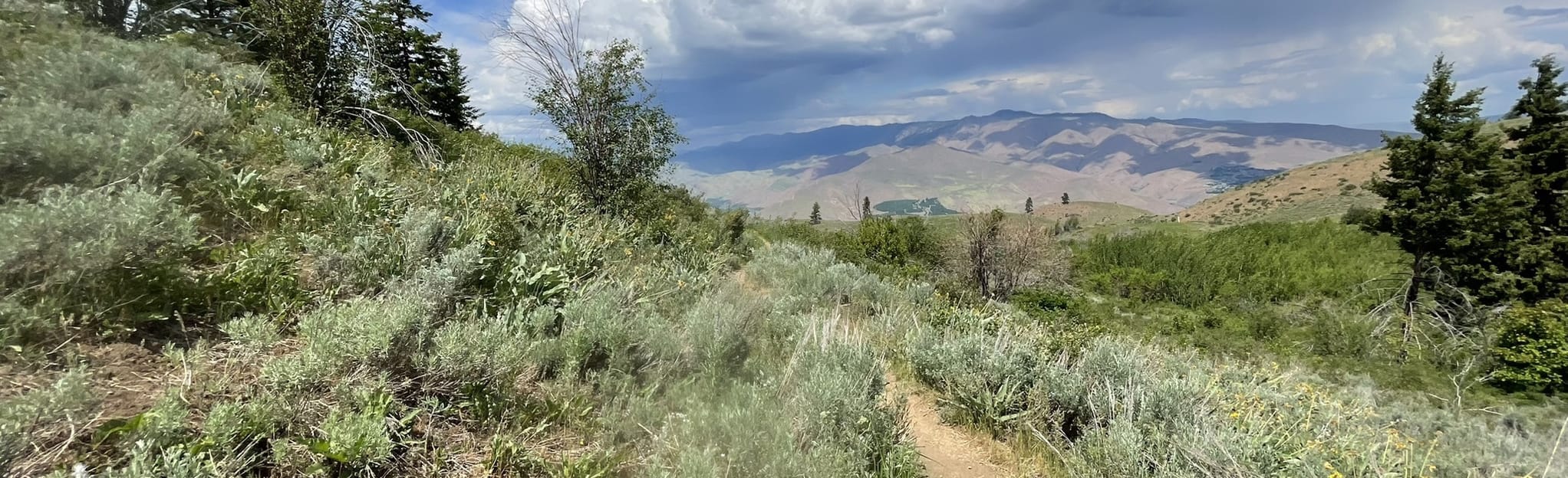 Sage Hills Loop [CLOSED], Washington - 535 Reviews, Map | AllTrails