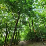 High Park Loop, Ontario, Canada - 874 Reviews, Map | AllTrails