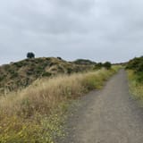 Getty View Trail, California - 794 Reviews, Map | AllTrails
