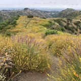Getty View Trail, California - 794 Reviews, Map | AllTrails