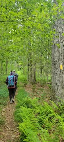 2023 Best Long Trails in Cross Fork | AllTrails