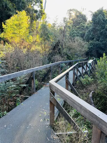 2023 Best Trails, Walks, and Paths in Club Terrace | AllTrails