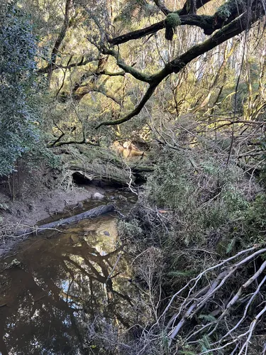 2023 Best Trails, Walks, and Paths in Club Terrace | AllTrails