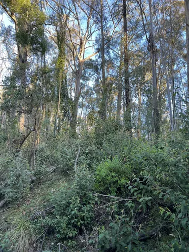 2023 Best Trails, Walks, and Paths in Club Terrace | AllTrails