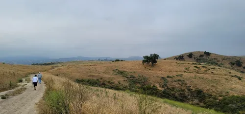 Best 10 Hiking Trails in Delta Park | AllTrails