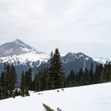 Red Heather Meadows, British Columbia, Canada - 131 Reviews, Map ...