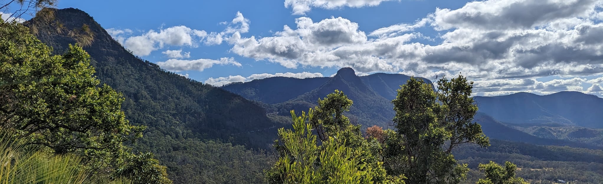 Mount Mathieson Trail and Spicers Gap Loop: 379 foto - Queensland ...