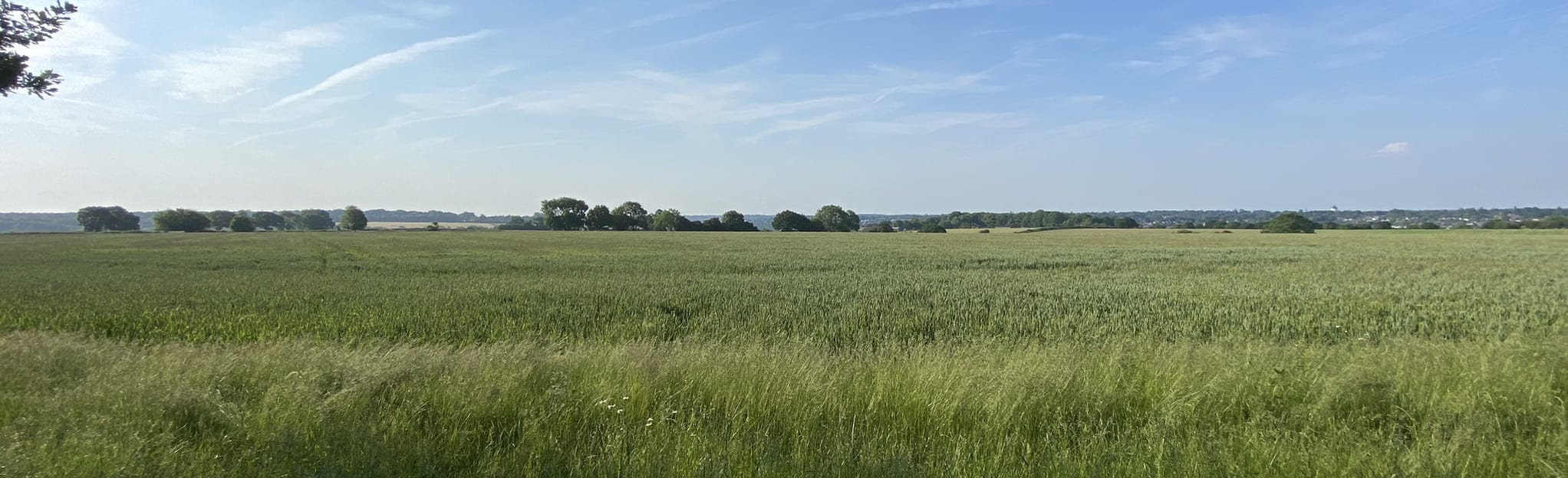 Berkhamsted Golf Club Circular: 16 Reviews, Map - Hertfordshire ...