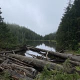 Greider Lakes Trail, Washington - 588 Reviews, Map | AllTrails