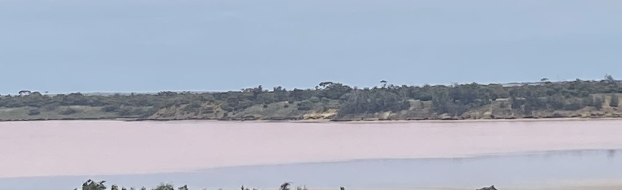 AllTrails | Kline Loop and Lake Becking Nature Walk: 5 Reviews, Map ...