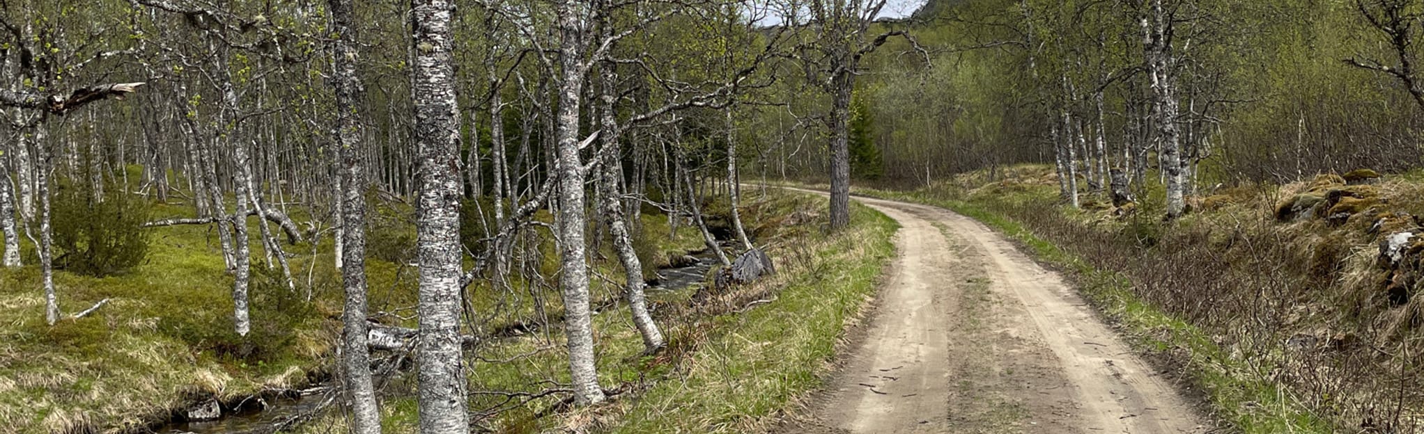 Fjellveien- Trøssemark: 3 Fotos - Troms og Finnmark, Norwegen | AllTrails