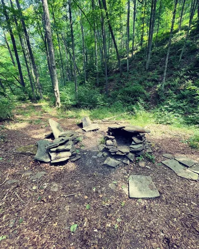 2023 Best Long Trails in Cross Fork | AllTrails