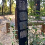 Berrara Waterfall, New South Wales, Australia - 45 Reviews, Map | AllTrails