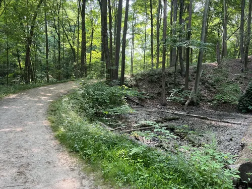 10 Best Hikes and Trails in South Chagrin Reservation | AllTrails