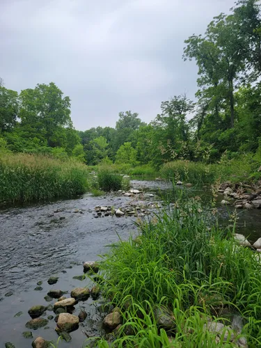 Best Hikes and Trails in Brushy Creek State Preserve | AllTrails