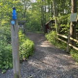 Plattekill Falls, New York - 521 Reviews, Map | AllTrails