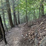 Plattekill Falls, New York - 521 Reviews, Map | AllTrails