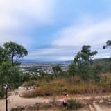 Mt Louisa Walking Track, Queensland, Australia - 231 Reviews, Map ...