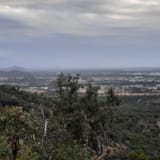 Mt Louisa Walking Track, Queensland, Australia - 231 Reviews, Map ...