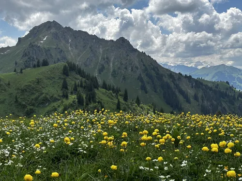 2023 Best Partially Paved Trails in Diemtigtal Nature Park | AllTrails