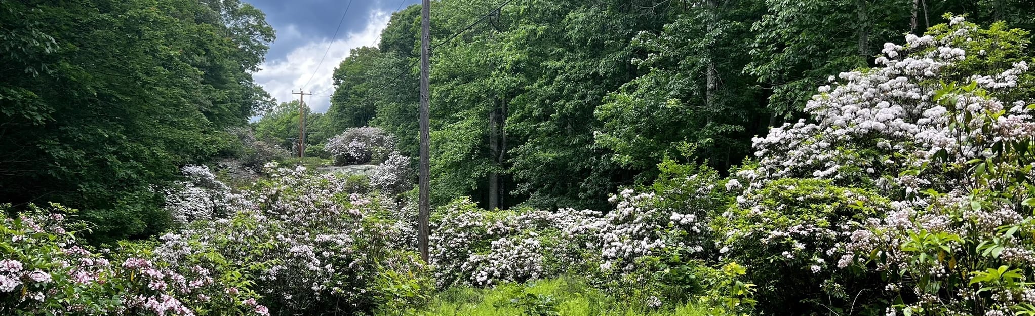 Upper Three Mile River Preserve, Connecticut - 296 Reviews, Map | AllTrails