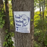 Mount Hope Pond, New Jersey - 42 Reviews, Map | AllTrails