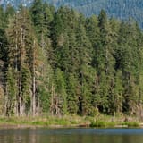 Irely Lake Trail, Washington - 125 Reviews, Map | AllTrails