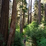 Irely Lake Trail, Washington - 125 Reviews, Map | AllTrails