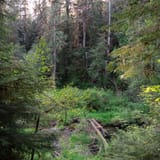 Irely Lake Trail, Washington - 125 Reviews, Map | AllTrails