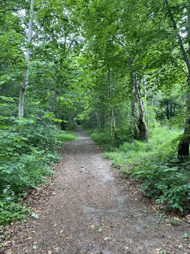 Best Walking Trails in Alness | AllTrails